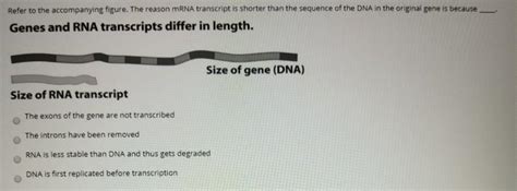 Solved What Is The Correct Amino Acid Sequence Generated