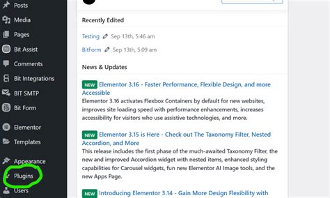 how to install a plugin in wordpress bit apps
