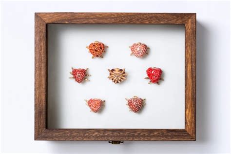 Blueonegallery 방구석붓쟁이들 오혜준 Hiday Raspberry Bugs