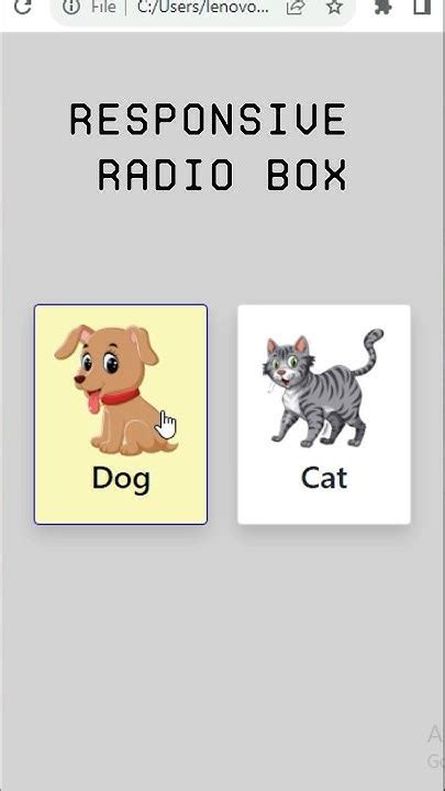 Radio Box Using Css Codefordesign Youtube