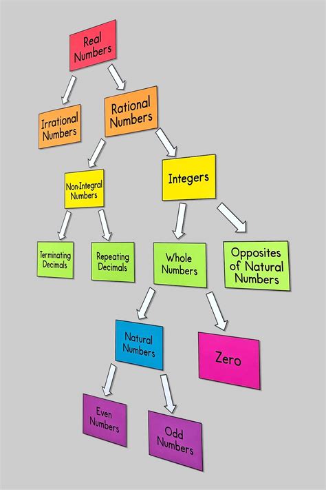 My Math Resources Real Numbers Classification Poster Math Classroom
