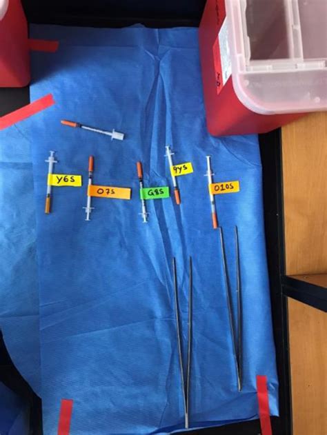 Extra Long Forceps Were Used To Handle The Tagged Syringes Download Scientific Diagram