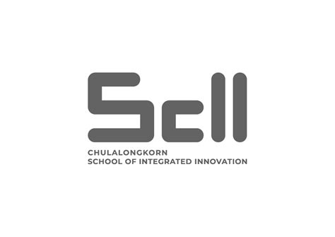 Bascii Logo — Primary Workshop