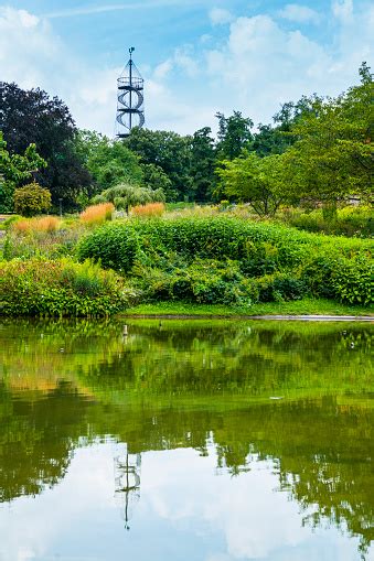 독일 슈투트가르트 도시 킬레스베르크 공원 킬레스베르크 타워와 아름다운 자연 풍경에 도시의 관광 자석 타워에 대한 스톡 사진 및 기타 이미지 Istock