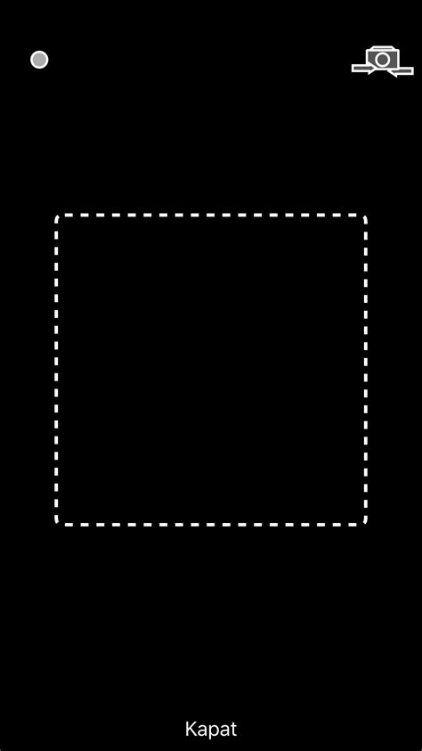 Camera Is Not Display But Scan Is Work Case Of Custom Interface · Issue 120 · Yannickl