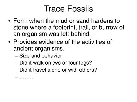 PPT Unveiling Earths Past The Study Of Fossil Records PowerPoint Presentation ID