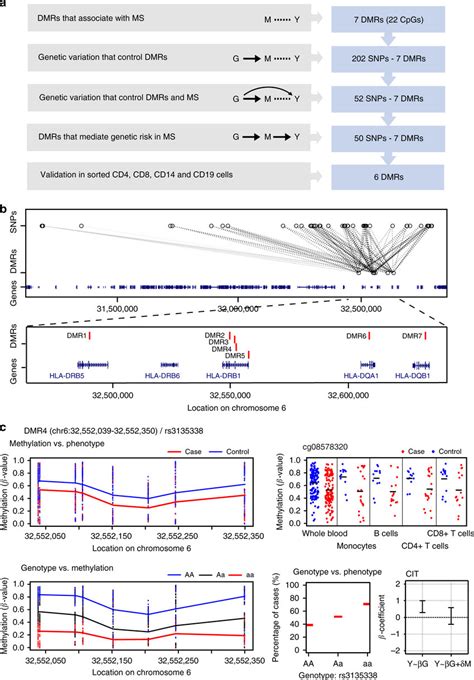 Genotype Dependent Candidate DMRs That Mediate Genetic Risk In Multiple Download Scientific