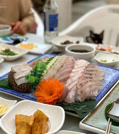 양양 쏠비치 근처 애견동반 식당 추천 자연횟집 메뉴판 주차정보 네이버 블로그