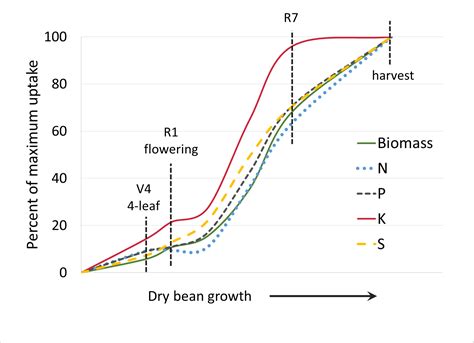 Nutrient Uptake Msu Extension Soil Fertility Montana State University