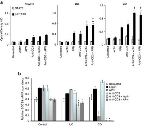 Signal Transducer And Activator Of Transcription 3 Stat3 P Stat3 Download Scientific
