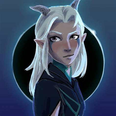 Rayla Author Redtail Arts The Dragon Prince Dragon Princess Prince