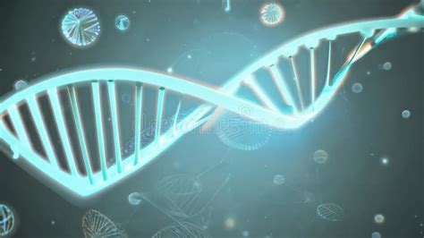 rotating dna double helix animation 4k stock footage video of