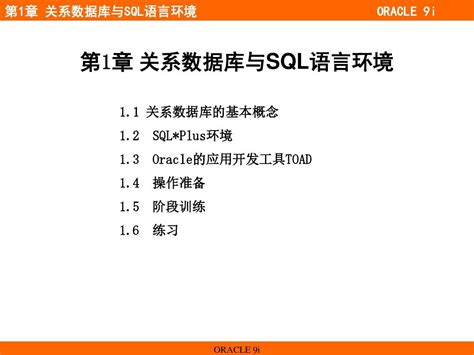 oracle sql语言入门基础讲解 word文档在线阅读与下载 无忧文档