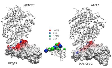 Webinar Bioexcel Hpc Workflows Predictive Power And Its Applications
