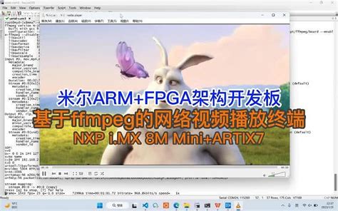 米尔arm fpga架构开发板 基于ffmpeg的网络视频播放终端测试，多媒体能力如何 电子发烧友网