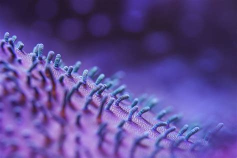 10 Amazing Github Projects You Have To Check Out By C L Beard