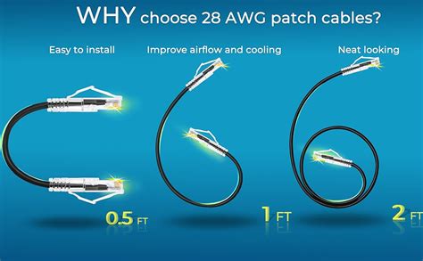 Amazon Com Rapink Patch Cables Cat Cat A Ft Pack Slim Cat A