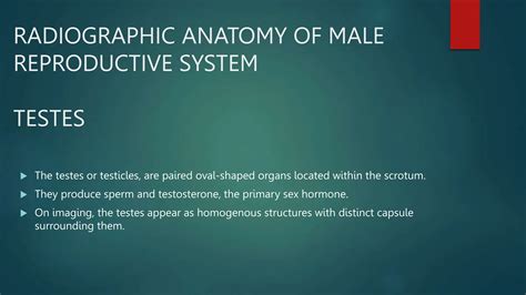 Reproductive System Ppt Pptx Radiographic Pptx Pregnancy Reproductive Health