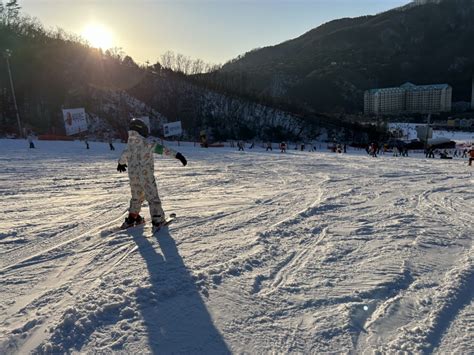 비발디파크 강습 스키강습 비발디스키아카데미