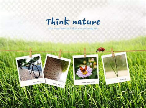 草坪上的照片png图片素材下载图片编号7553549 Png素材网