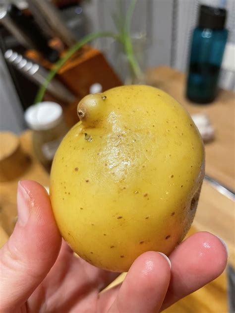 Funny Spud 🥔 R Vegetables