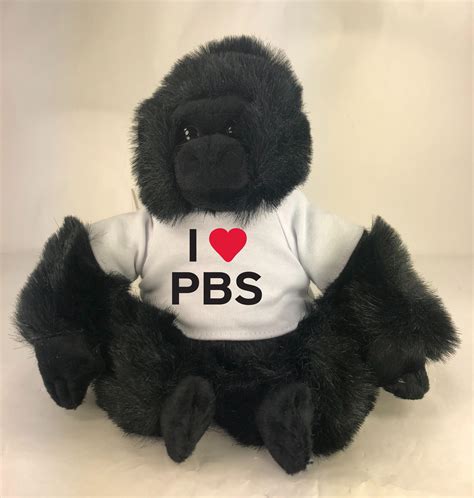 Koko The Gorilla Who Talks Wttw