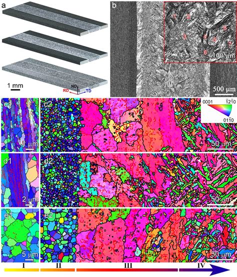 Microstructure Of The Present Bone Like Structure Ti A 3d Download Scientific Diagram