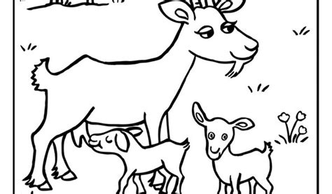 Coloriage Chevre Et Chevreau Dessin Colorier D Une Maman Chvre Et De Ses Petits Chevreaux