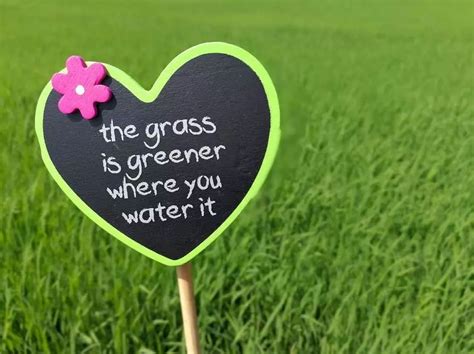 Hugh Minor On Linkedin I Hate When People Say The Grass Isn T Always
