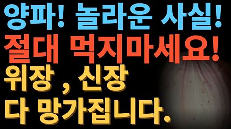 양파 독입니다 위장 신장 다 망가집니다 양파와 절대 함께 먹으면 안되는 음식 양파 먹어서 안되는 사람들 양파 조심하세요 건강 정보 Youtube