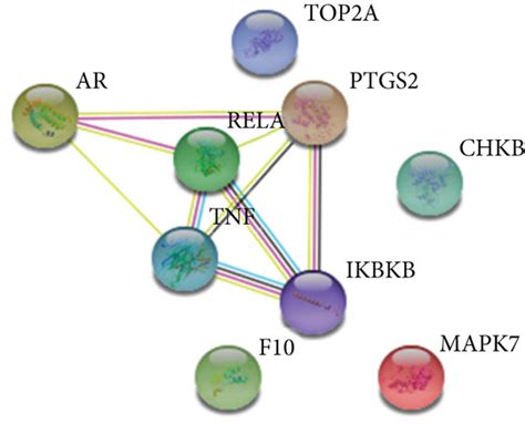 Schematic Representation From An Interactome Using String 10 Version