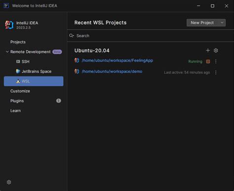 Intellij에서 WSL 로 Spring 프로젝트 돌리기 cheon 의 Archive