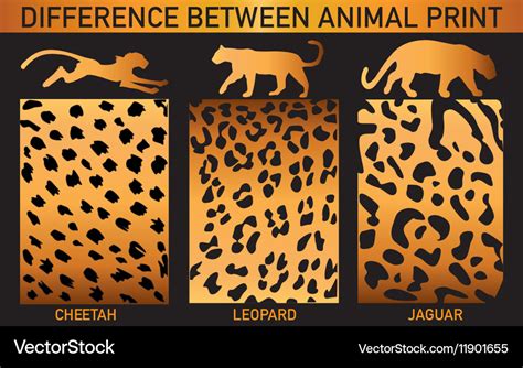 Cheetah Vs Leopard Vs Jaguar Print