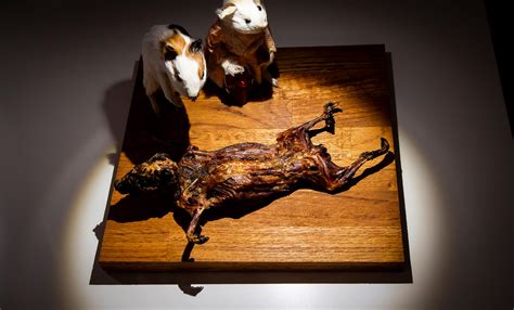 Disgusting Food Museum Home