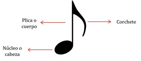 Figuras Músicales 🎵 ¿que Son ¿cómo Se Escriben Los Tipos Y Partes