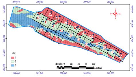 Relative contribution of soil and terrain variables to Ψstem at fruit Download Scientific