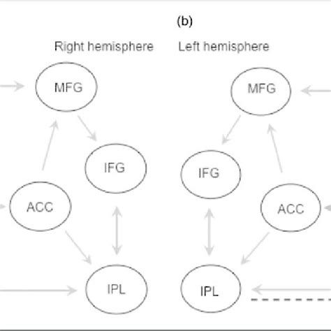 A Cognitive Model Of Working Memory Used For Dynamic Causal Modeling