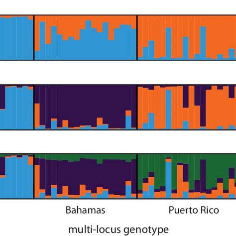 Bayesian Cluster Analysis Of Microsatellite Data From Acropora Palmata