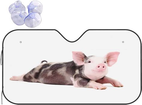 Car Windshield Sun Shade White Daisy Flowers Butterfly Black Foxtail Purple Gray Grass Car Sun