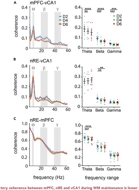Figure 3 From Task Specific Oscillatory Synchronization Of Prefrontal Cortex Nucleus Reuniens