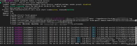 linux开机rc local不自启动执行脚本其他一些问题进行补充说明 rclocal添加脚本不启动 csdn博客