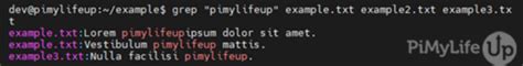 How To Use The Grep Command Pi My Life Up