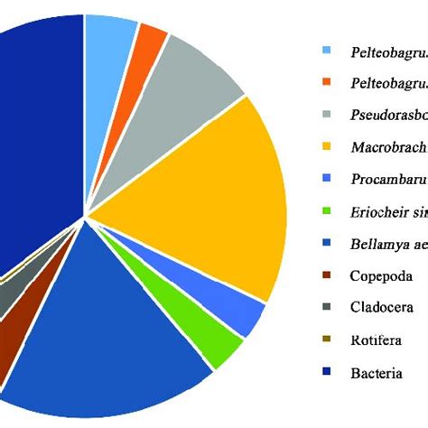 Proportion Of Energy Throughput Consumption Download Scientific Diagram