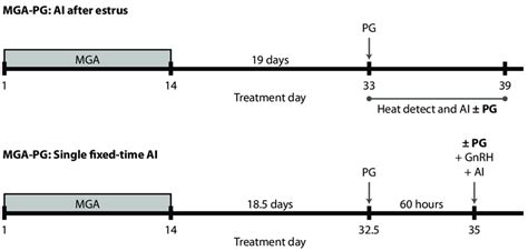 Diagram Of Treatments For Synchronization Of Estrus And Time Of