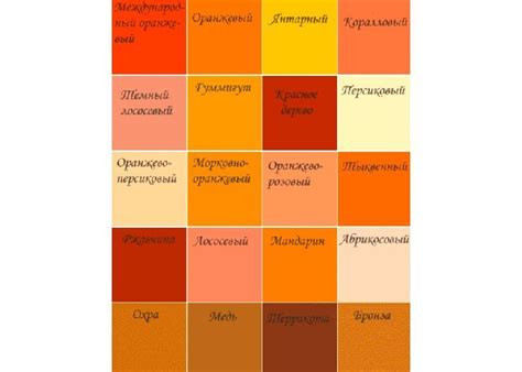 Терракотовый цвет: фото в интерьере разного назначения | Цвета для ...