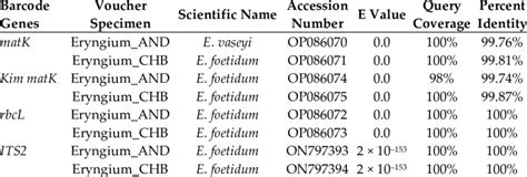 Molecular Identification Of Eryngium Sp Using Matk Kim Matk Rbcl Download Scientific