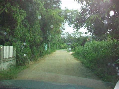 For Sale ขายที่ดิน 7 ไร่ อำเภอลำลูกกา จังหวัดปทุมธานี ทำเลดี ราคาดี โทร 082 4789822 Ennxo