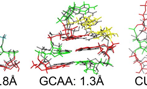 PNAS High Resolution Reversible Folding Of Hyperstable RNA Tetraloops Using Molecular Dynamics
