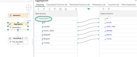 Create A Calculation View With Differential Privacy In SAP Web IDE SAP Tutorials