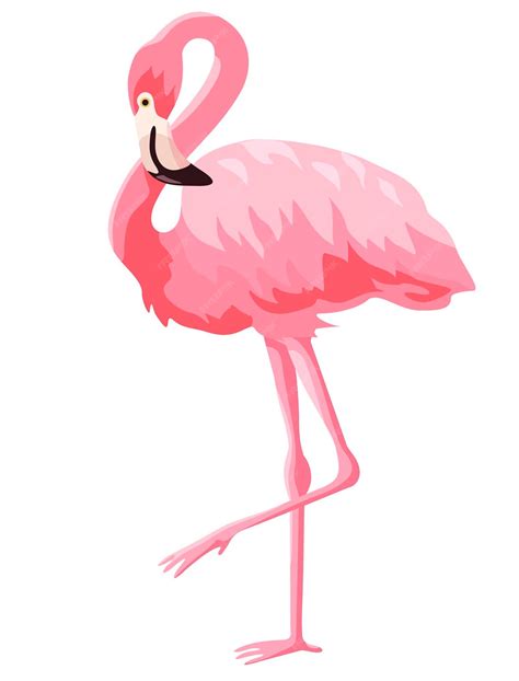Ilustração Em Vetor De Flamingo Rosa Isolada Em Fundo Branco Flamingo é